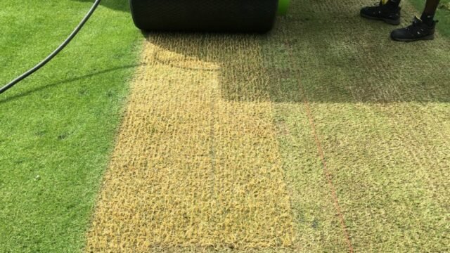 The Evolution of Hybrid Pitches in Cricket: A Game Changer